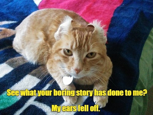 See what your boring story has done to me? - Lolcats - lol | cat memes | funny cats | funny cat ...