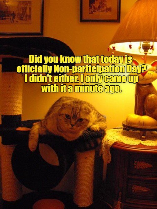 Non-participation Day - Lolcats - lol | cat memes | funny cats | funny ...