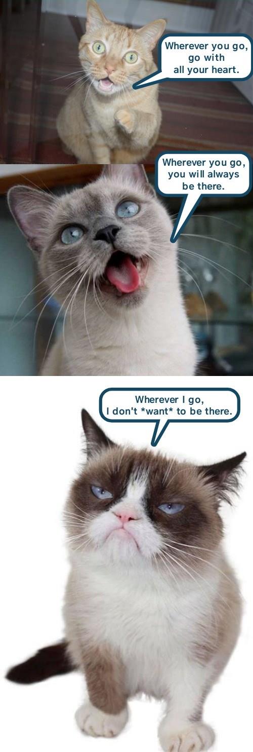 From sublime to depressing - Lolcats - lol | cat memes | funny cats ...