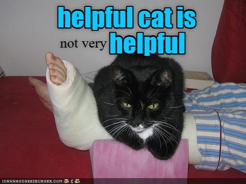 helpful cat is helpful - Lolcats - lol | cat memes | funny cats | funny ...