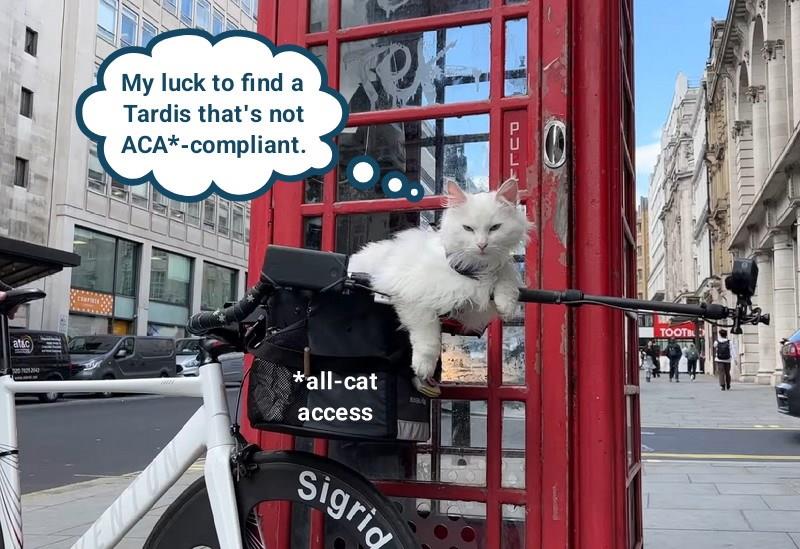 Thumbs required to access - Lolcats - lol | cat memes | funny cats ...