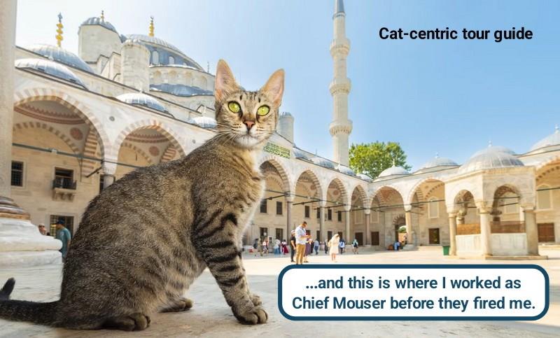 Cat-centric tour guide - Lolcats - lol | cat memes | funny cats | funny ...