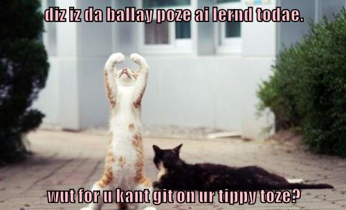 diz iz da ballay poze ai lernd todae. - Lolcats - lol | cat memes ...