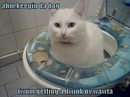 ahm.keepin da dog fwum getting a dwink ov wawta - Lolcats - lol | cat ...