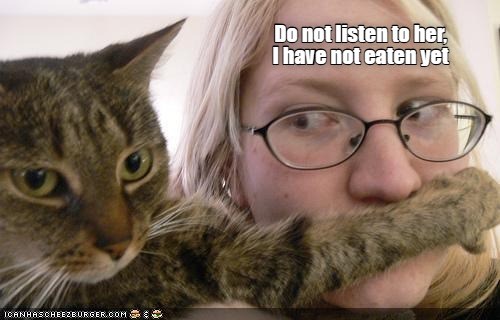 All She Does Is Lie - Lolcats - lol | cat memes | funny cats | funny ...