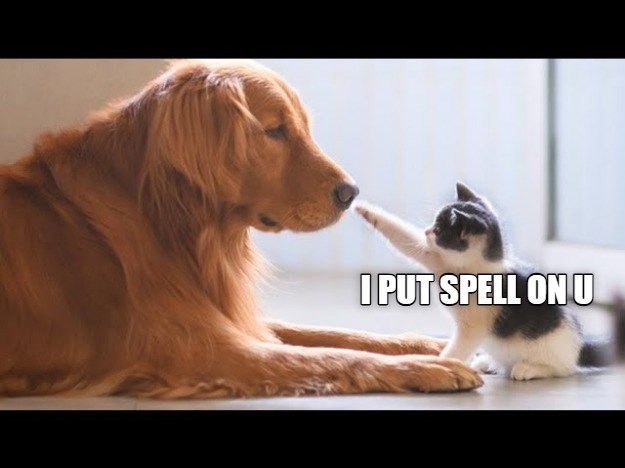 Paw Spell - Lolcats - lol | cat memes | funny cats | funny cat pictures ...