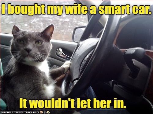Smart nothing, Genius. - Lolcats - lol | cat memes | funny cats | funny ...