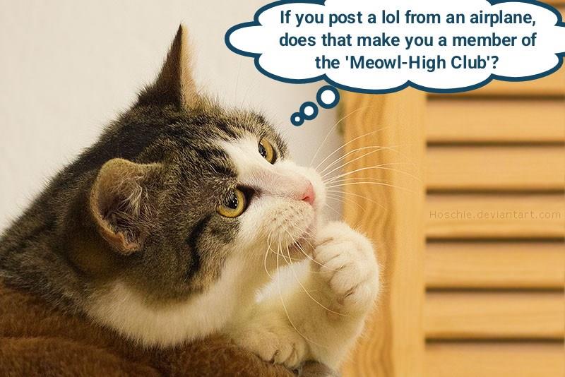 Like this one was - Lolcats - lol | cat memes | funny cats | funny cat ...