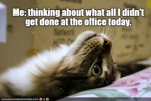 Oops - Lolcats - lol | cat memes | funny cats | funny cat pictures with ...