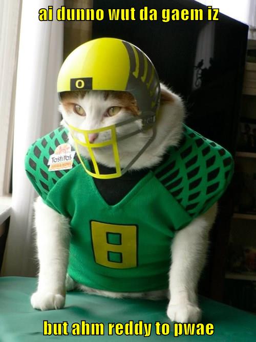 ahm reddy to pwae - Lolcats - lol | cat memes | funny cats | funny cat ...