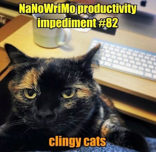 A valid non-writing excuse if ever there was one! - Lolcats - lol | cat ...