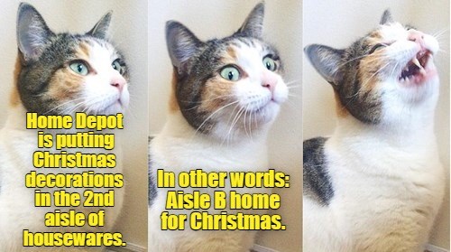 Joke Cat shouldn't quit his day job. - Lolcats - lol | cat memes ...