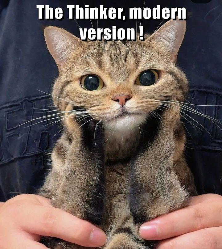 The Thinker - Lolcats - lol | cat memes | funny cats | funny cat ...