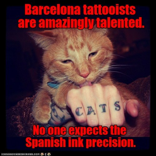 (Dramatic music ensues) - Lolcats - lol | cat memes | funny cats ...