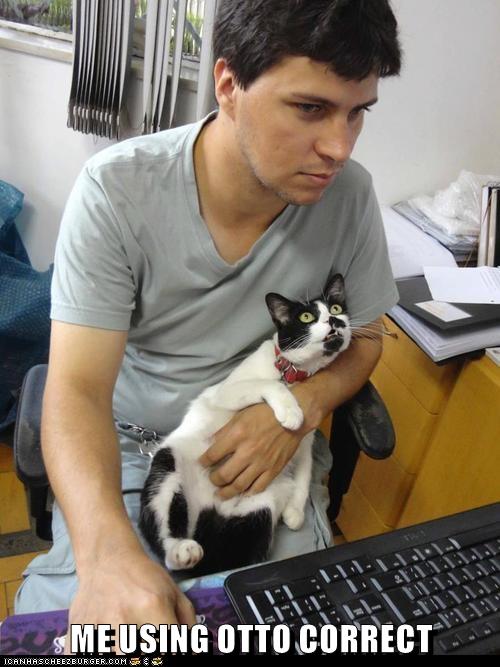 OTTO CORRECT - Lolcats - lol | cat memes | funny cats | funny cat ...