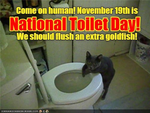 We should all celebrate - Lolcats - lol | cat memes | funny cats ...
