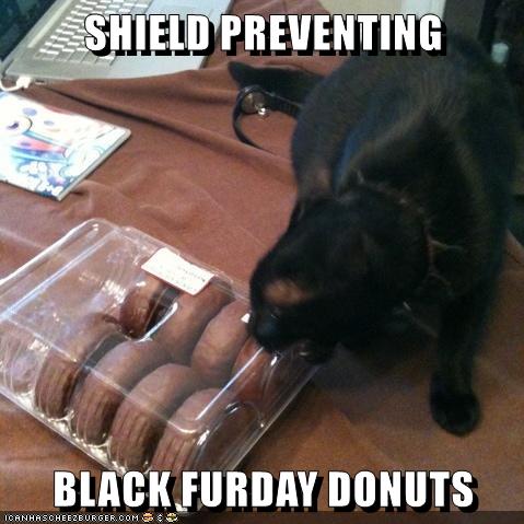SHIELD - Lolcats - lol | cat memes | funny cats | funny cat pictures ...