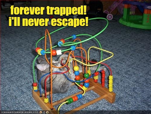 rescue me! - Lolcats - lol | cat memes | funny cats | funny cat ...