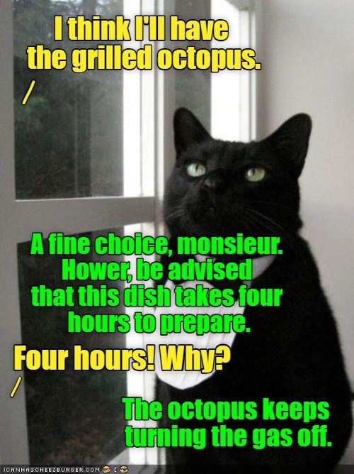 I'll have the escargot instead. - Lolcats - lol | cat memes | funny ...