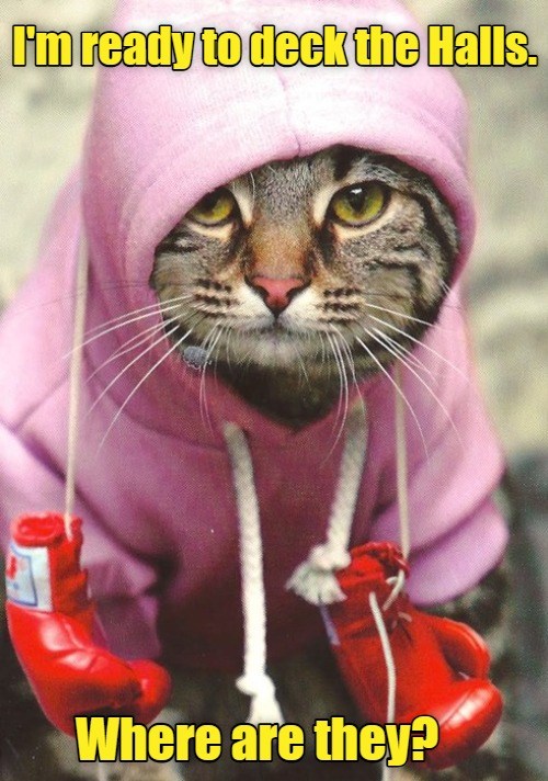 Paging Mr. & Mrs. Hall. Please come to the service desk. - Lolcats ...