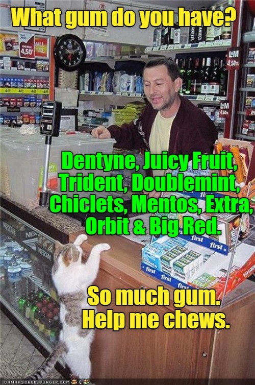 Chews wisely. - Lolcats - lol | cat memes | funny cats | funny cat ...