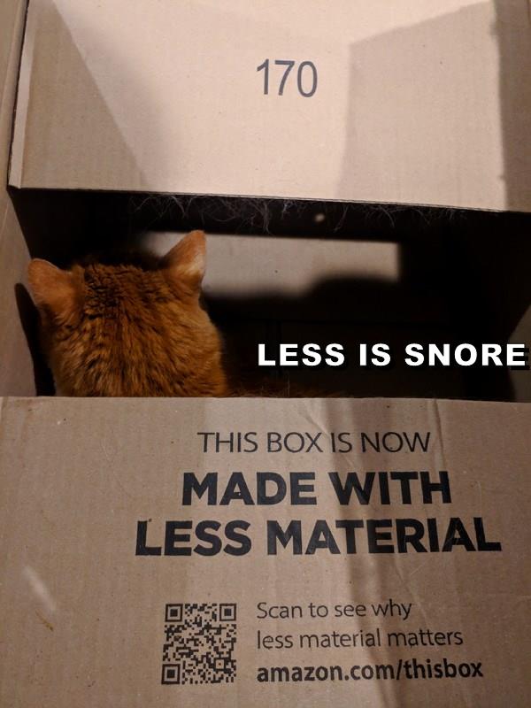 LESS IS SNORE - Lolcats - lol | cat memes | funny cats | funny cat ...