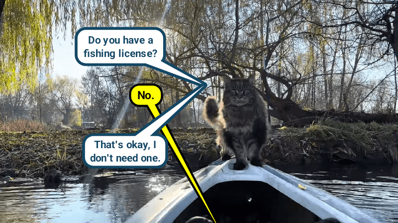 Don't need no stinking badges - Lolcats - lol | cat memes | funny cats ...