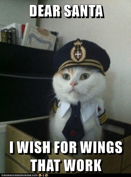 DEAR SANTA I WISH FOR WINGS THAT WORK - Lolcats - lol | cat memes ...