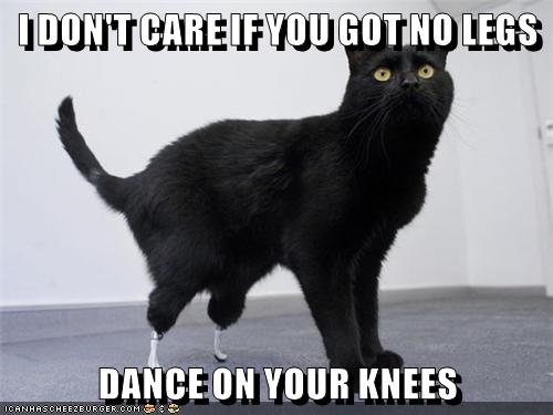 DANCE ON YOUR KNEES - Lolcats - lol | cat memes | funny cats | funny ...