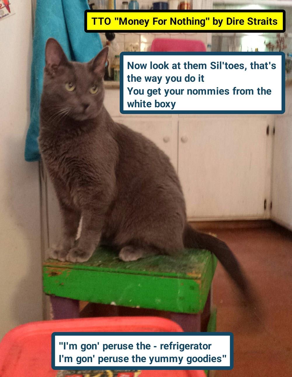 TTO "Money For Nothing" by Dire Straits - Lolcats - lol | cat memes | funny cats | funny cat ...