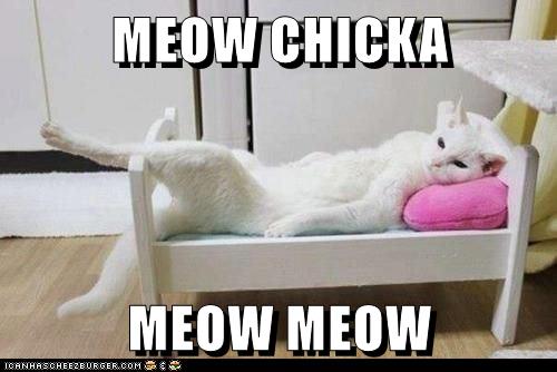 MEOW CHICKA MEOW MEOW - Lolcats - lol | cat memes | funny cats | funny ...