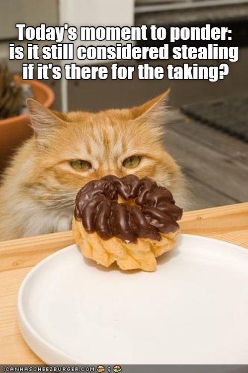 Today's moment to ponder: - Lolcats - lol | cat memes | funny cats ...