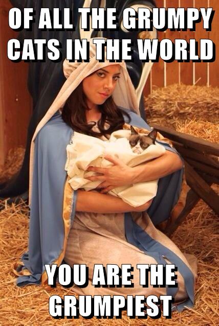 YOU ARE THE GRUMPIEST - Lolcats - lol | cat memes | funny cats | funny cat pictures with words ...