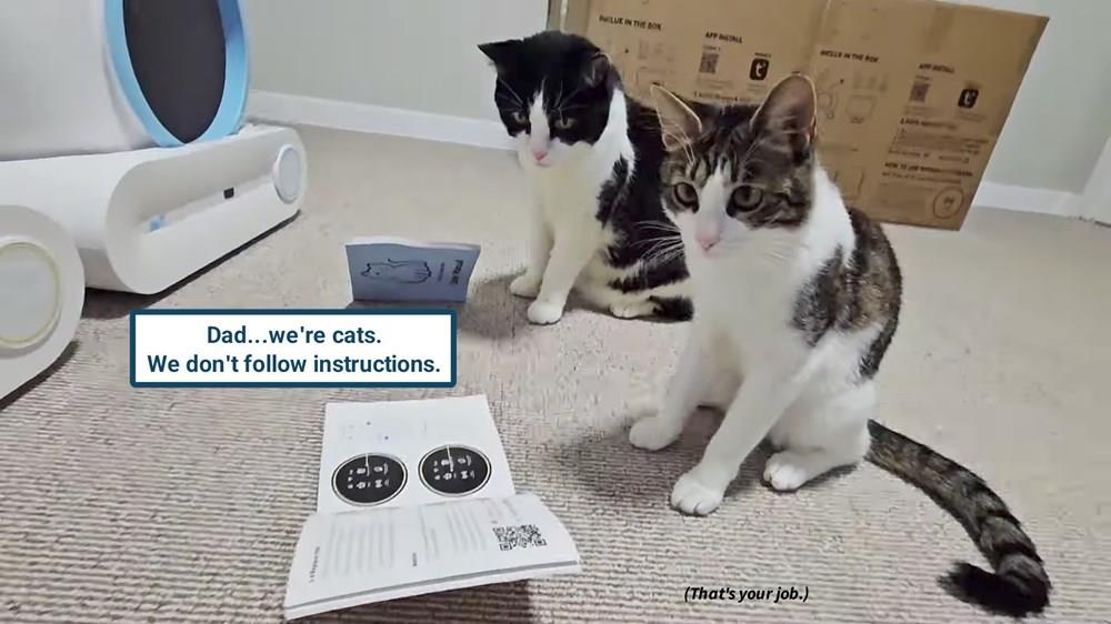 That's your job - Lolcats - lol | cat memes | funny cats | funny cat ...