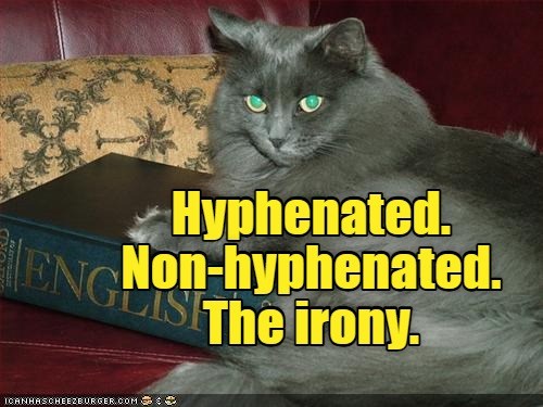 English is a hard language to grasp. - Lolcats - lol | cat memes ...