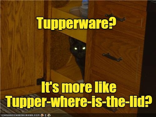 Just throw some plastic wrap over it. - Lolcats - lol | cat memes ...