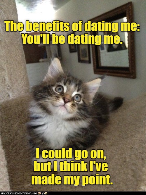 Conceited? Who, me? - Lolcats - lol | cat memes | funny cats | funny ...