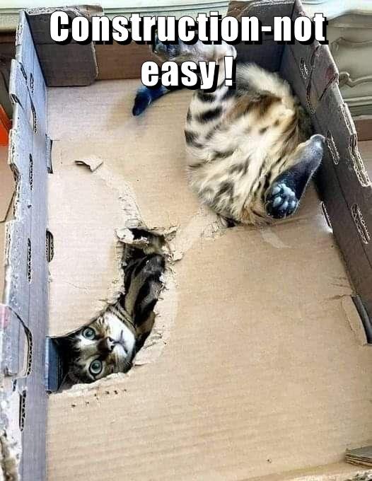 Construction-not easy ! - Lolcats - lol | cat memes | funny cats ...