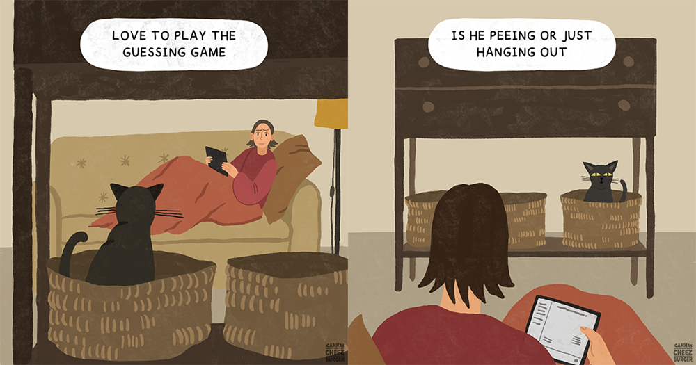 The Cat Guessing Game - I Can Has Cheezburger?