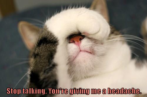Stop talking. - Lolcats - lol | cat memes | funny cats | funny cat ...