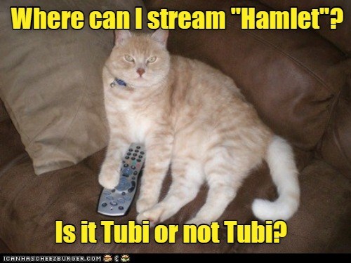 That is the question. What is the answer? - Lolcats - lol | cat memes ...