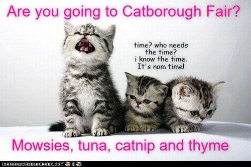 Are you going to Catborough Fair? - Lolcats - lol | cat memes | funny ...