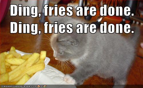 I Can Has Fries? - Lolcats - lol | cat memes | funny cats | funny cat ...