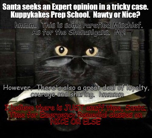 Santa's Special Helper: Agent Basement Cat. - Lolcats - lol | cat memes ...