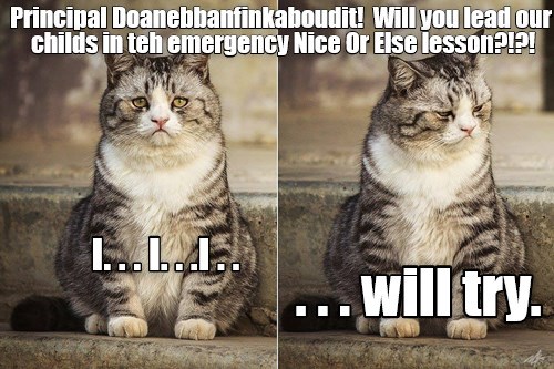 A noble educator hears a desperate cry! - Lolcats - lol | cat memes ...