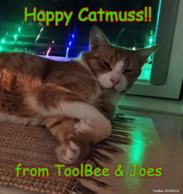 Happy Catmuss To All - Lolcats - lol | cat memes | funny cats | funny ...