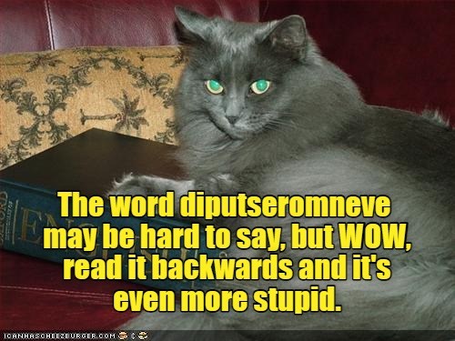 And they say cats can't read... pfft... - Lolcats - lol | cat memes ...