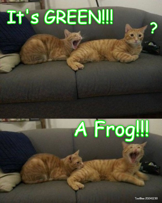 Meanwhile, At A Rondom Traffic Light... - Lolcats - lol | cat memes ...