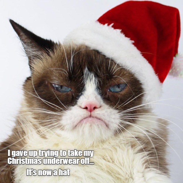 And I'm Not Really Happy About It - Lolcats - lol | cat memes | funny ...