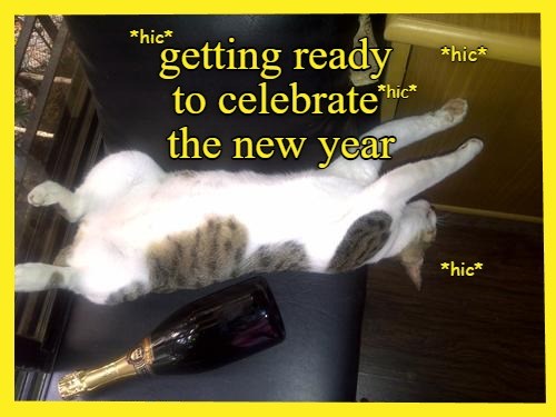 happy *hic* new year! - Lolcats - lol | cat memes | funny cats | funny ...